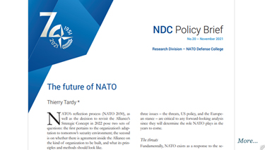 The future of NATO