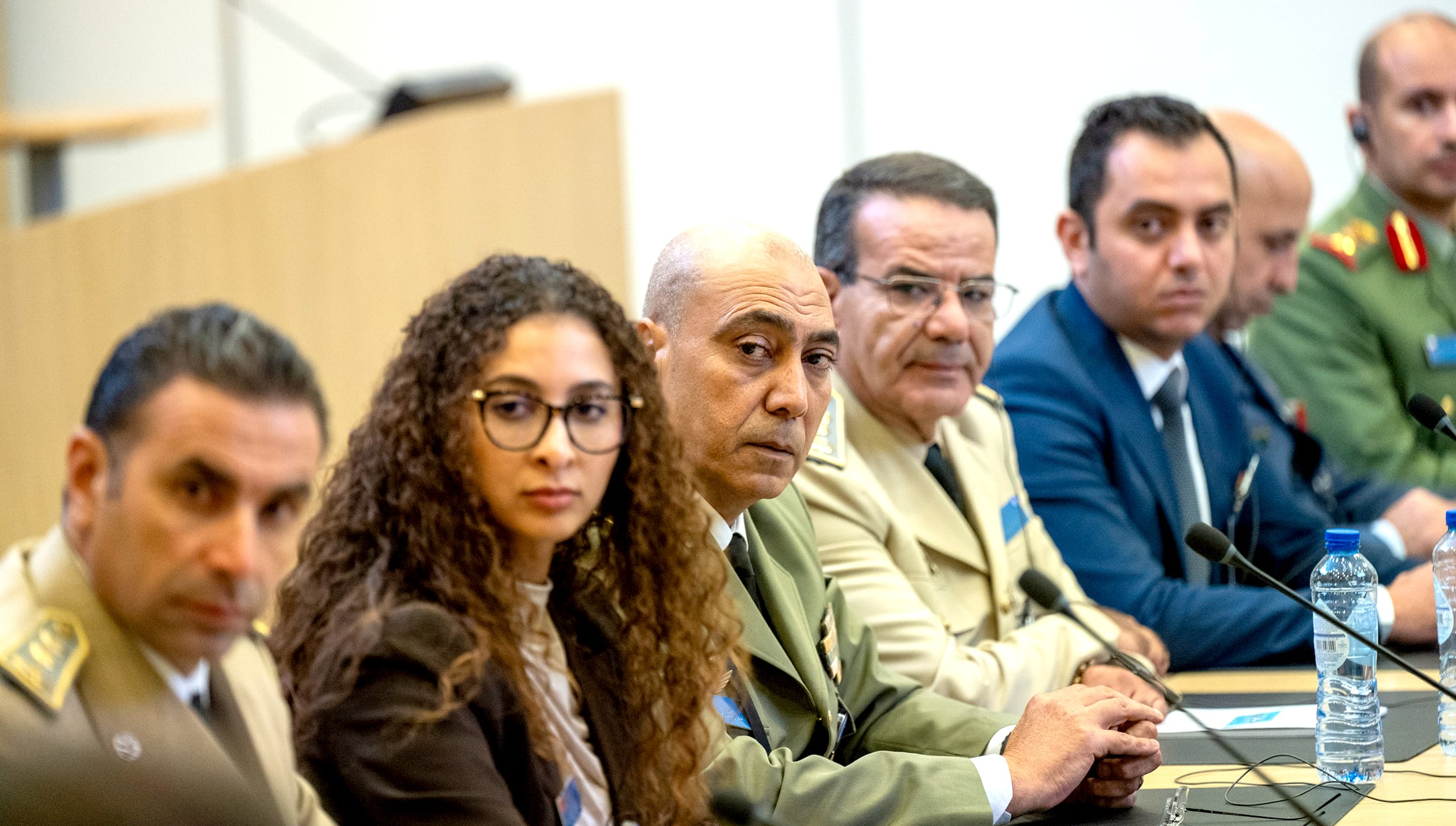 NRCC 34 Field Study: Allied and Partner Perspectives on NATO’s ...
